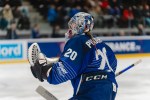 Hockey sur glace : Portrait d’Alice Philbert, l’ancienne gardienne de ...